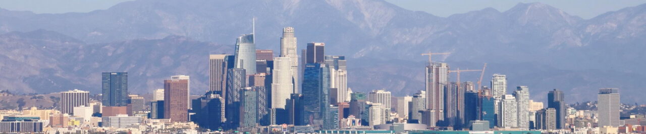 About | MGMT Artists